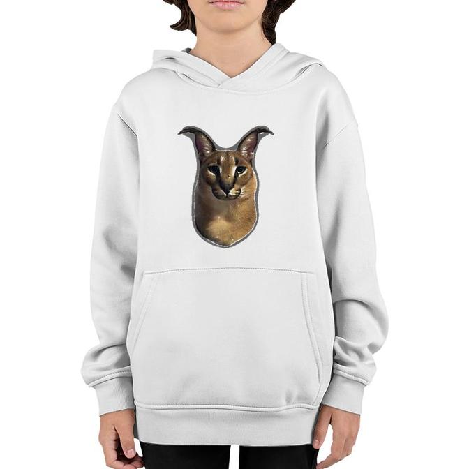 Low Poly Floppa Meme Big Floppa Meme Cat Youth Hoodie | Mazezy